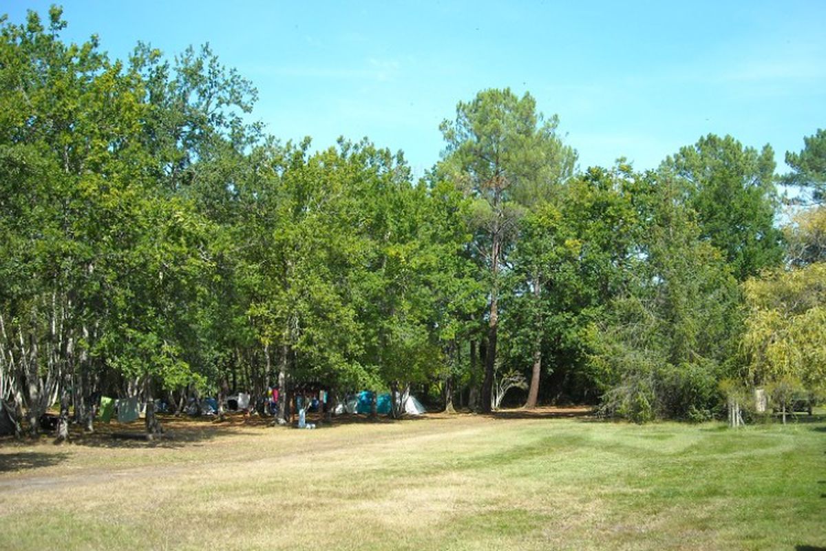 Camping Liberté Lacanau - Lacanau - tarifs et avis - Camping and co