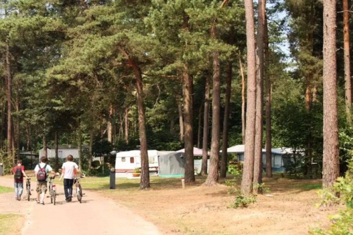 Camping Kempen - Lichtaart-Kasterlee - tarifs et avis - Camping and co