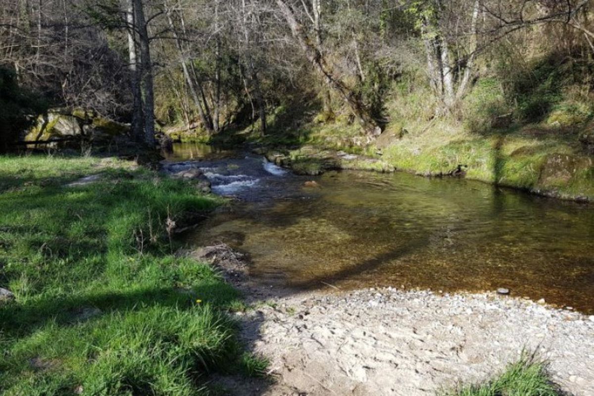 Camping Les Pins D'Ucel - Ucel - tarifs et avis - Camping and co