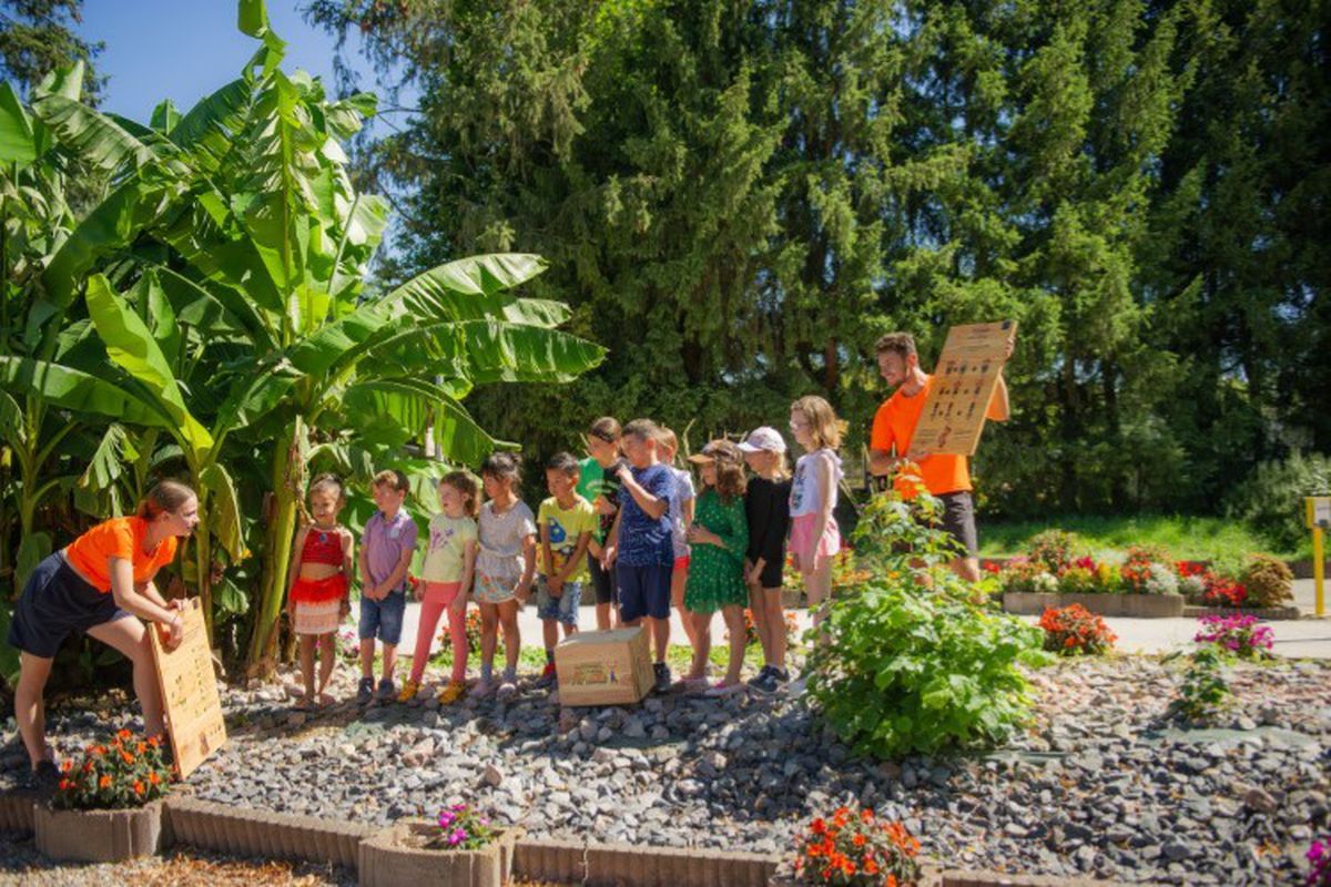 Camping Le Ried - Boofzheim - tarifs et avis - Camping and co