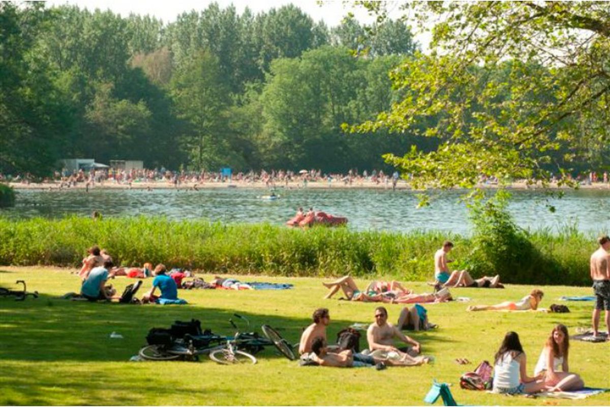 Camping Delftse Hout - Delft - tarifs et avis - Camping and co