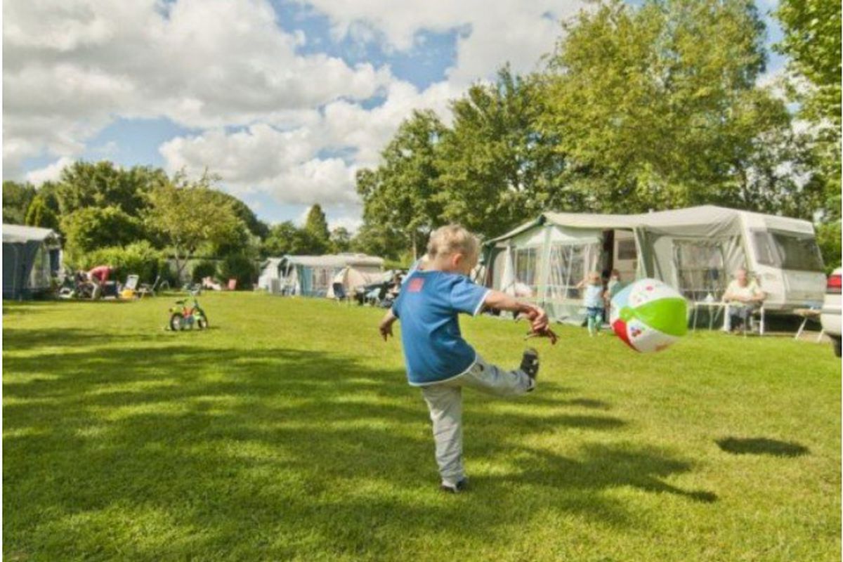 Camping Delftse Hout - Delft - tarifs et avis - Camping and co