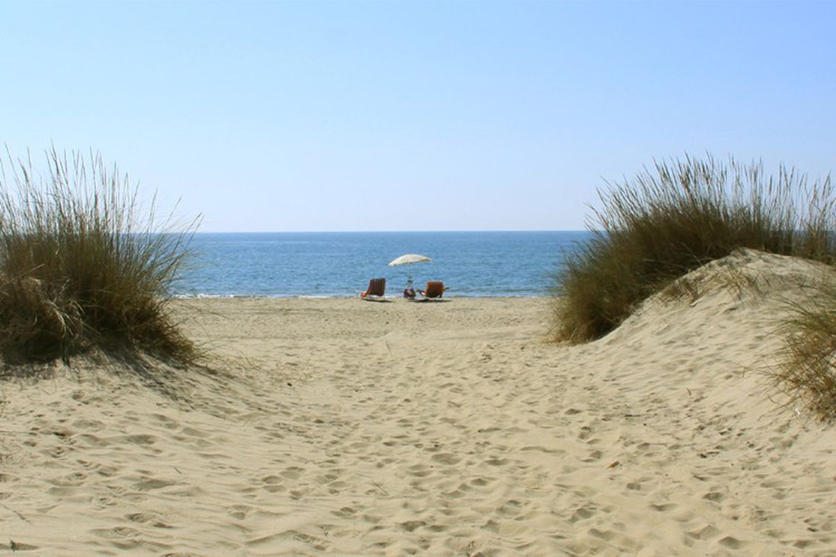 Camping Playa Taray - La Redondela - Huelva -Tarifas y opiniones ...