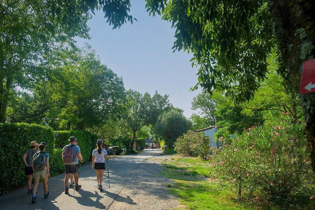 Camping Le Petit Bois - Ruoms - tarifs et avis - Camping and co