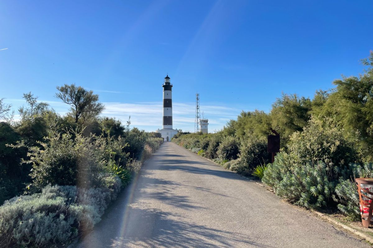 Les Sables Vignier - Saint-Georges-d'Oléron - tarifs et avis - Camping ...