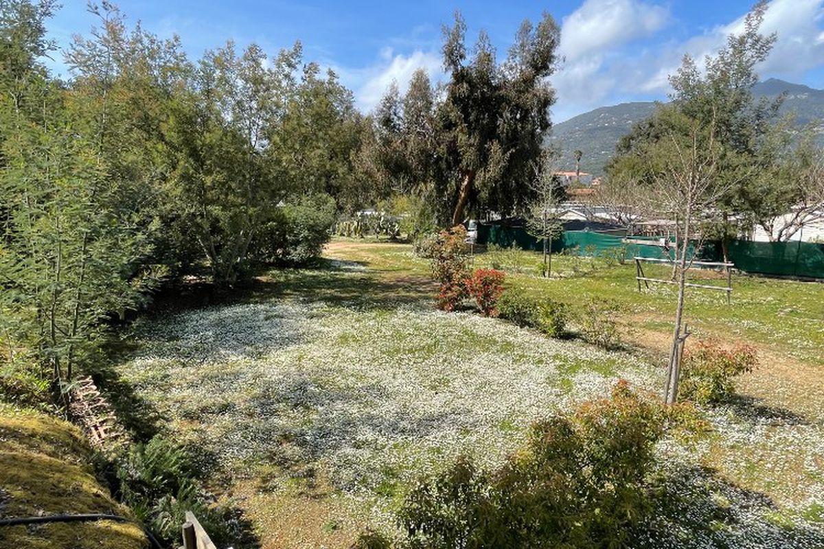 Camping Milella - Viggianello - tarifs et avis - Camping and co