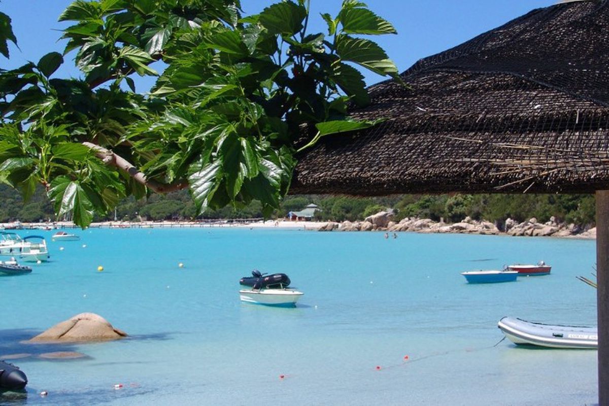 Camping Petra Legna - Porto-Vecchio - tarifs et avis - Camping and co