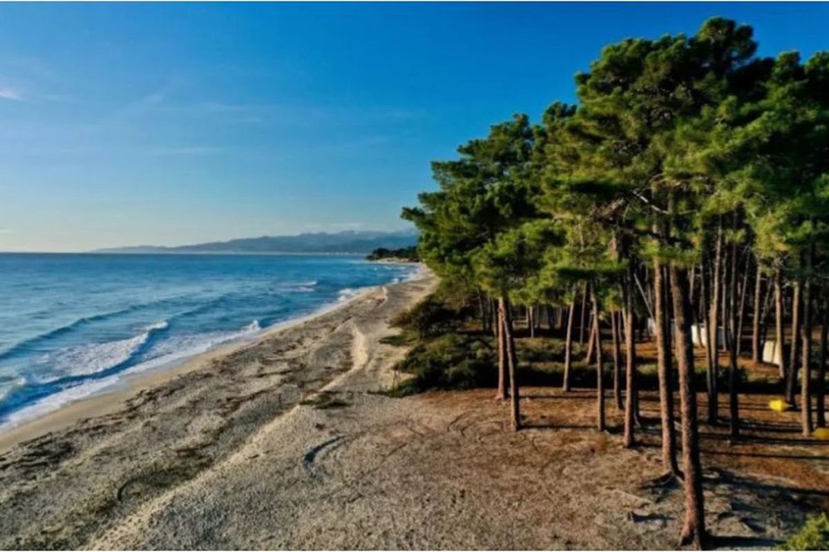 Camping U Casone - Ghisonaccia - tarifs et avis - Camping and co