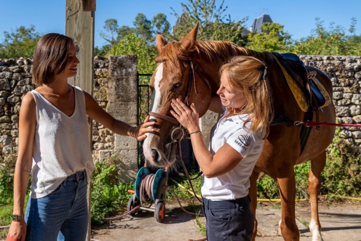 Camping Sequoia Parc - Saint-Just-Luzac - tarifs et avis - Camping and co