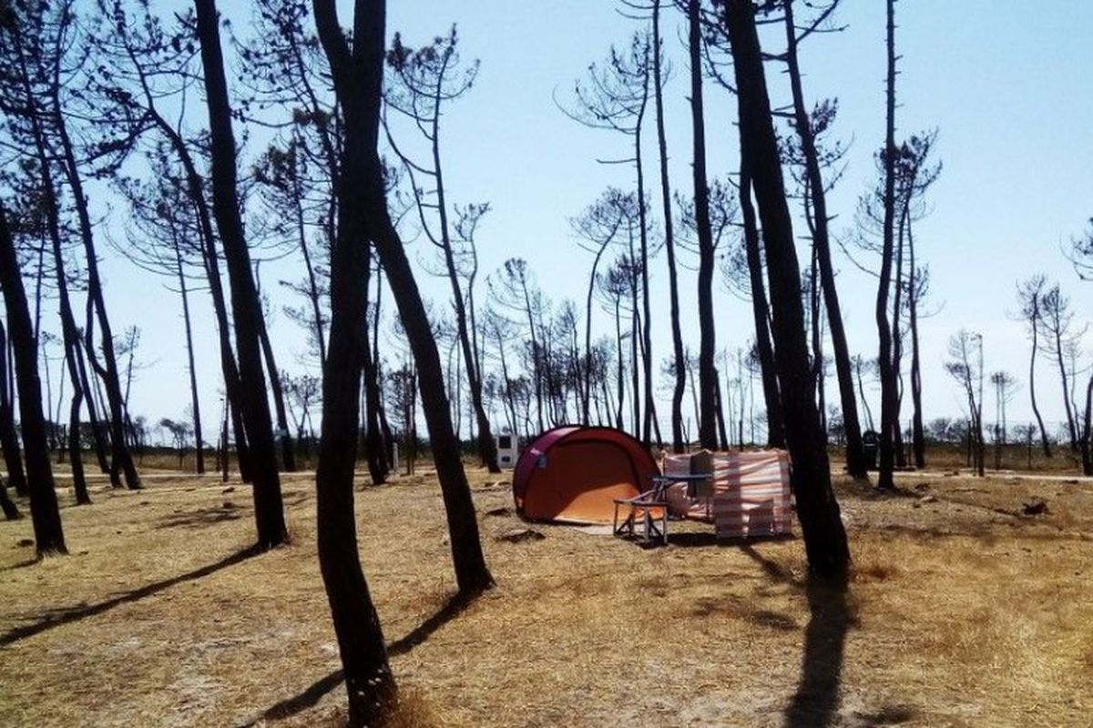 Camping Gala - Figueira da Foz - tarifs et avis - Camping and co