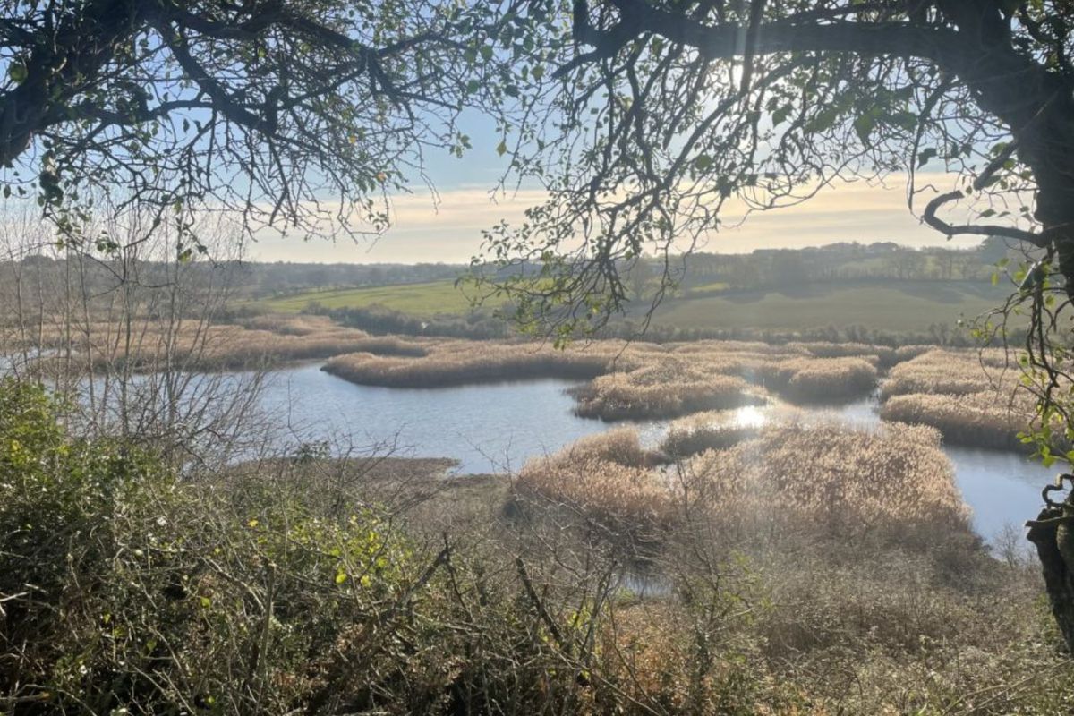 Camping Damona Lodges - Vairé - tarifs et avis - Camping and co