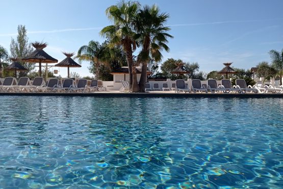 Camping Crin Blanc - Camargue