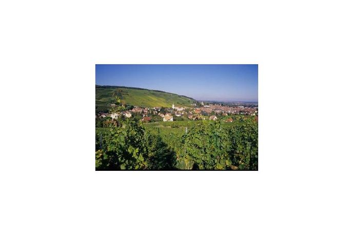 Camping Le Ried - Boofzheim - tarifs et avis - Camping and co