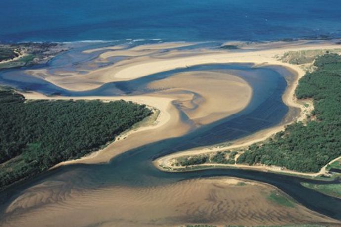 Camping Le Chenal - Saint-Jean-de-Monts - tarifs et avis - Camping and co