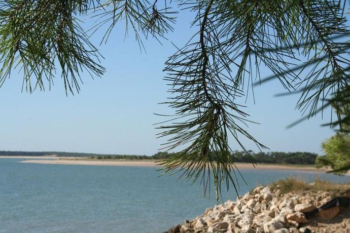 Camping Signol - Saint-Georges-d'Oléron - tarifs et avis - Camping and co